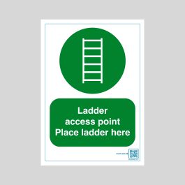 Ladder Access Point